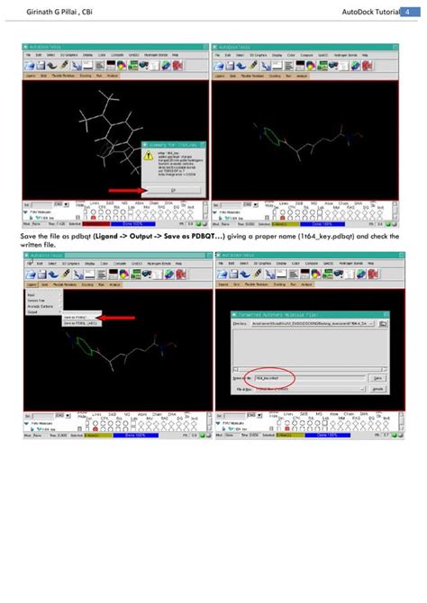 Autodock Made Easy With Mgl Tools Molecular Docking Pdf Chemistry
