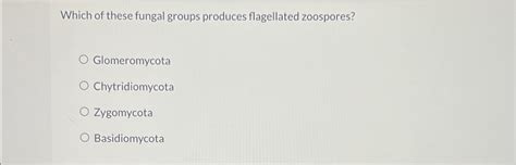 Solved Which Of These Fungal Groups Produces Flagellated