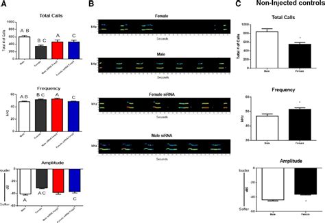 Foxp2 Mediates Sex Differences In Ultrasonic Vocalization By Rat Pups And Directs Order Of