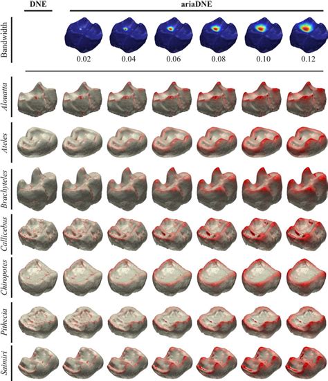 Effect Of Increasing The Parameter Bandwidth On The Weight Function