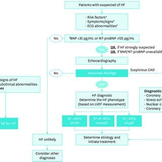 The Diagnostic Algorithm For Patients With Suspected HF Adopted And Download Scientific