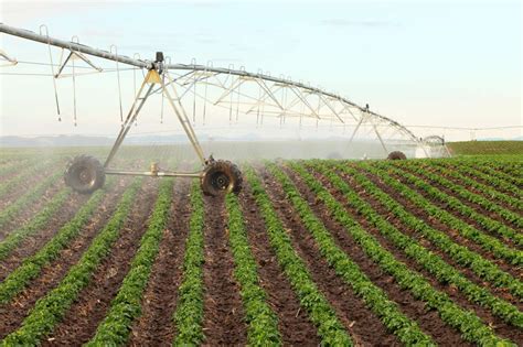 Irrigation System Head Types At Paul Bennette Blog