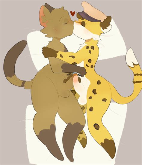 Rule 34 Absurd Res Anthro Bed Bedroom Sex Clothing Domestic Cat Duo