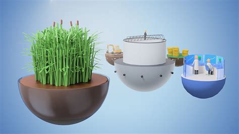 Was ist eigentlich das EKO-PLANT-Prinzip? | dp mediendesign Göttingen ...
