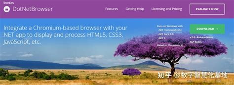 种在wpf winForm等客户端集成Web网页方案详解全网最全快收藏 知乎