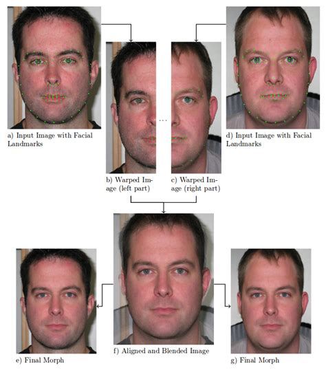 Detection Of Face Morphing Attacks By Deep Learning The Institute For Computational Vandalism