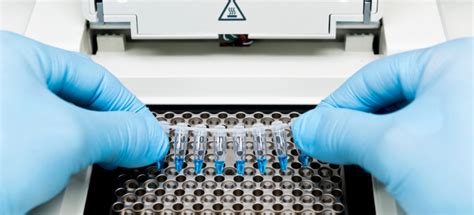 Fluorometer Principles Types Applications And Advances In Fluorescence Measurement Aelab