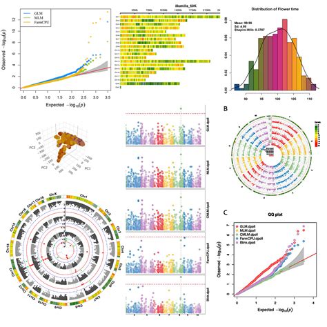 Pb Gwas A Shiny App For Streamlined Gwas Analysis In Just 4 Clicks 🧬
