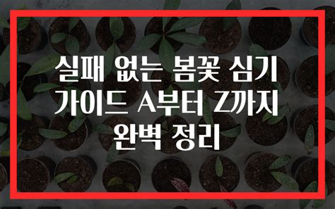 실패 없는 봄꽃 심기 가이드 a부터 z까지 완벽 정리