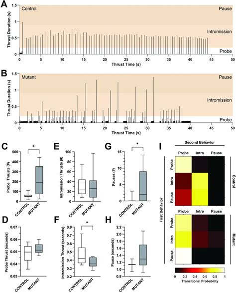 The Organization And Timing Of Thrusting Behaviors Is Perturbed In Pea3