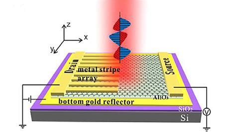 Improving Polarization Detection For Optoelectronic Devices Aiporg