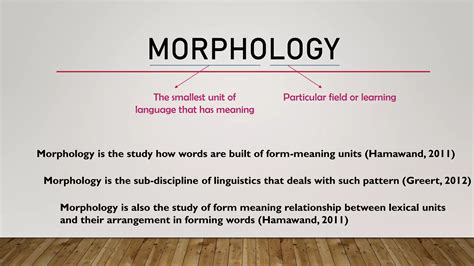 Morphology Pdf