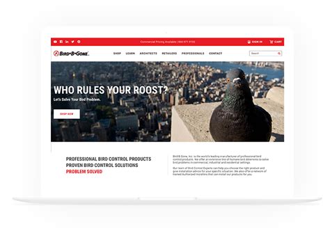 BigCommerce Development Company Best BigCommerce Services