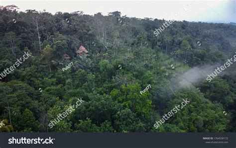 Aerial View Bamboo Tree House Tropical Stock Photo 1764538172