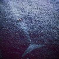 git push 提示当前分支没有对应的远程分支 当前分支没有对应的远程仓库 CSDN博客