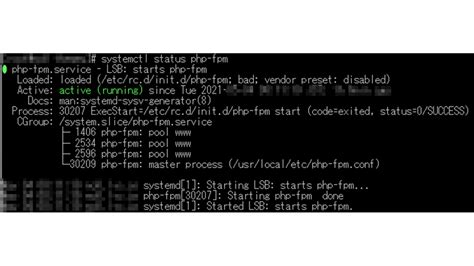 php fpm、「 127 0 0 1 9000′ address already in use」で再起動できない サーバーレシピ