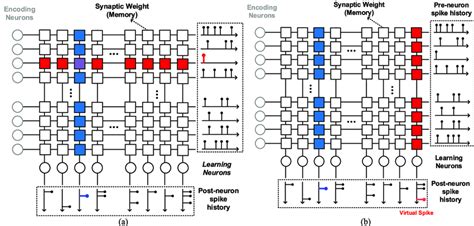 Memory Access Directions Associated With Ltp Blue Cells Or Ltd Blue