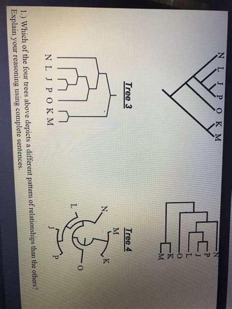 Solved Tree Tree Which Of The Four Trees Above Chegg Com