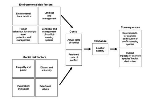 Conceptual Framework Of A Possible Set Of Factors Likely To Affect Download Scientific Diagram