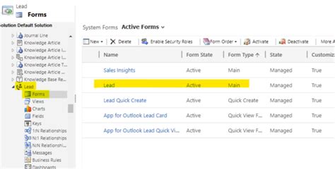 Multi Select Optionset Datatype In Dynamics 365 Customer Engegement