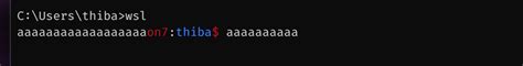 Long Commands Wrap Around Instead Of Going To A New Line With Wsl Ubuntu · Issue 13973