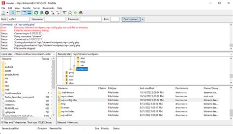 Unable To Change File Permission Issue Bitnami Vms GitHub