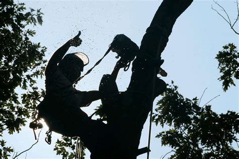 Tree Services Keenan Tree Care Sanbornton NH