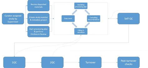 Overview Of Quality Checks In A Curation Workflow Download