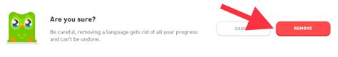 How To Remove A Language Course On Duolingo Duoplanet