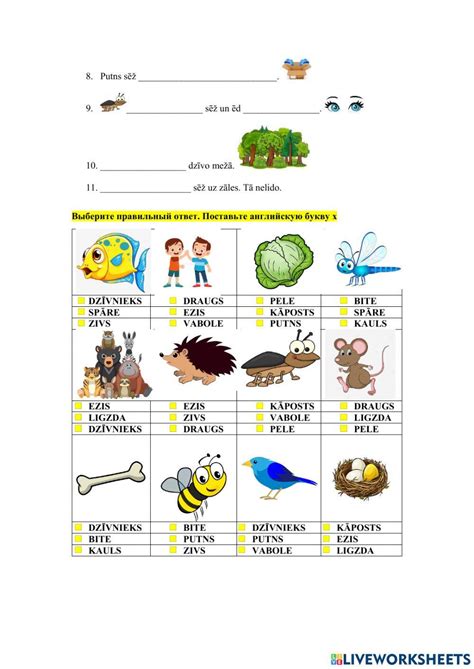Latvian As A Second Language Exercise Live Worksheets