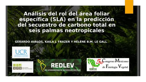 Pdf Analysis Of The Role Of Specific Leaf Area Sla In Predicting