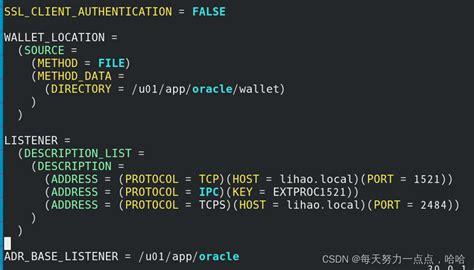 使用自签名证书的ssl linux db19 win 客户端） wallet中添加自签名的证书 csdn博客