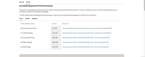 ubuntu22 04 lts 安装并配置多个jdk ubuntu22 04安装jdk csdn博客