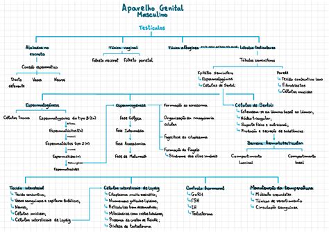 Mapa Mental E D T E O E C O S I E E A O I E E T E E