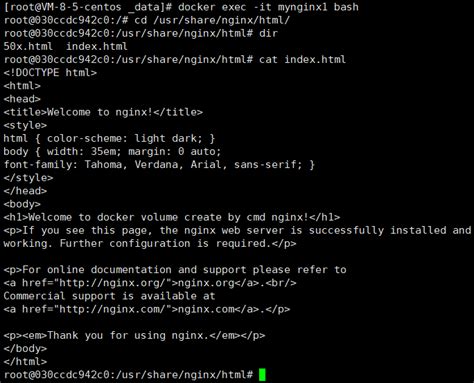 【docker】docker volume（存储卷） csdn博客