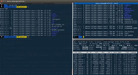 dev workspace setup on linux ubuntu with terminator oh my zsh and