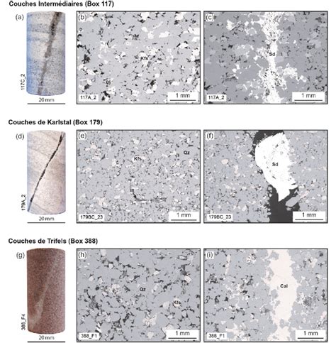 Pre Deformation Microstructure Photographs Of Samples Prior To Download Scientific Diagram