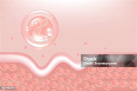 히알루 론산 모발 및 피부 솔루션 광고 핑크 콜라겐 세럼 드롭 화장품 광고 배경과 피부 세포 위에 드롭 준비 사용 일러스트 벡터 개념에 대한 스톡 벡터 아트 및 기타 이미지