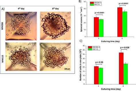 Comparison Of Spheroids From Different Melanoma Cell Lines A