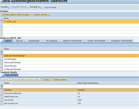 Sap Parameter Setzen Java Nwa Erp Transformation