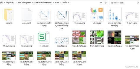 基于yolov8深度学习的水稻害虫检测与识别系统【python源码 pyqt5界面 数据集 训练代码】目标检测、深度学习实战 yolov8 农