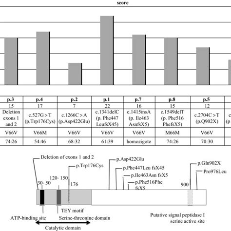 Correlation Between Severity Score Type And Location Of Download