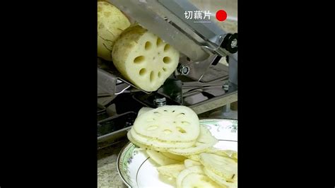 고기 절단기 냉동 만능 슬라이서 가정용 육절기 Youtube