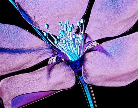 Blender Node System Exploration Behance