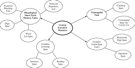 a schematic representation of the different working memory and