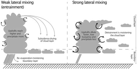 Illustration Of The Influence Of Shallow Convection Lateral Entrainment