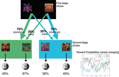 Structure Of The Two Stage Reinforcement Learning Task In Each Trial Download Scientific