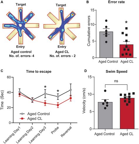 Chronic β3 Adrenergic Agonist Treatment Improves Neurovascular Coupling Responses Attenuates