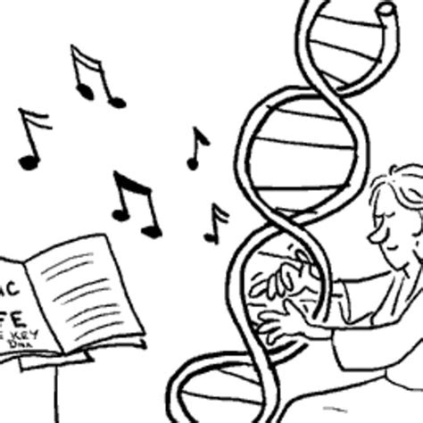 Sofia Olvera Universidad Nacional Autónoma De México Mexico City Unam School Of Medicine