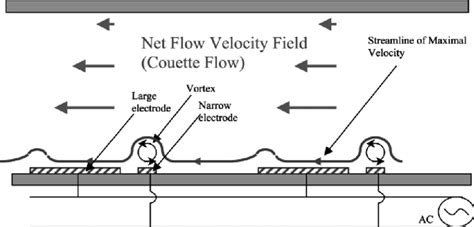 Schematic Demonstrating The Directional Electroosmotic Flow Generated Download Scientific